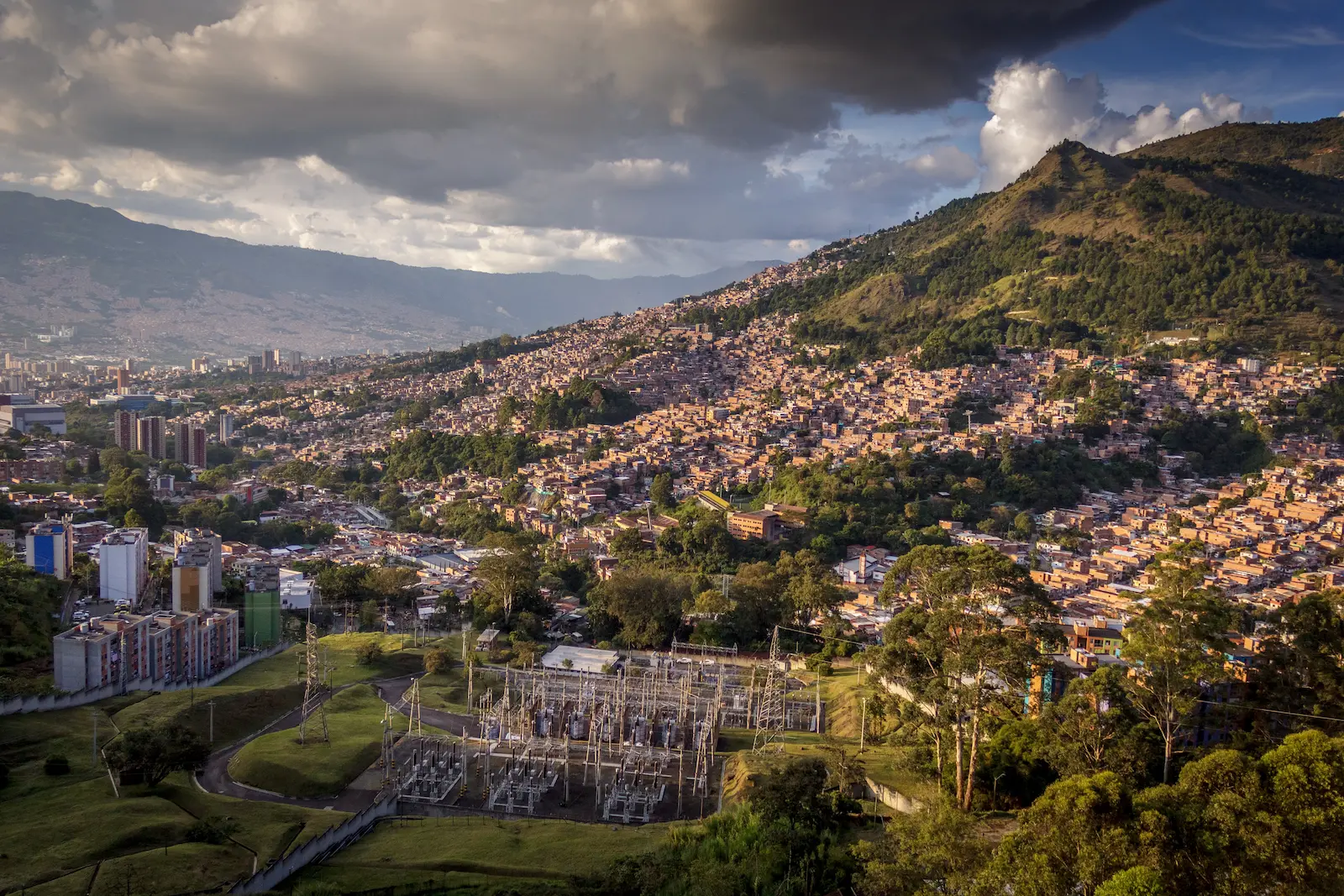 Descubre a los Impresionantes Guardianes Verdes de Medellín: Los 7 ...